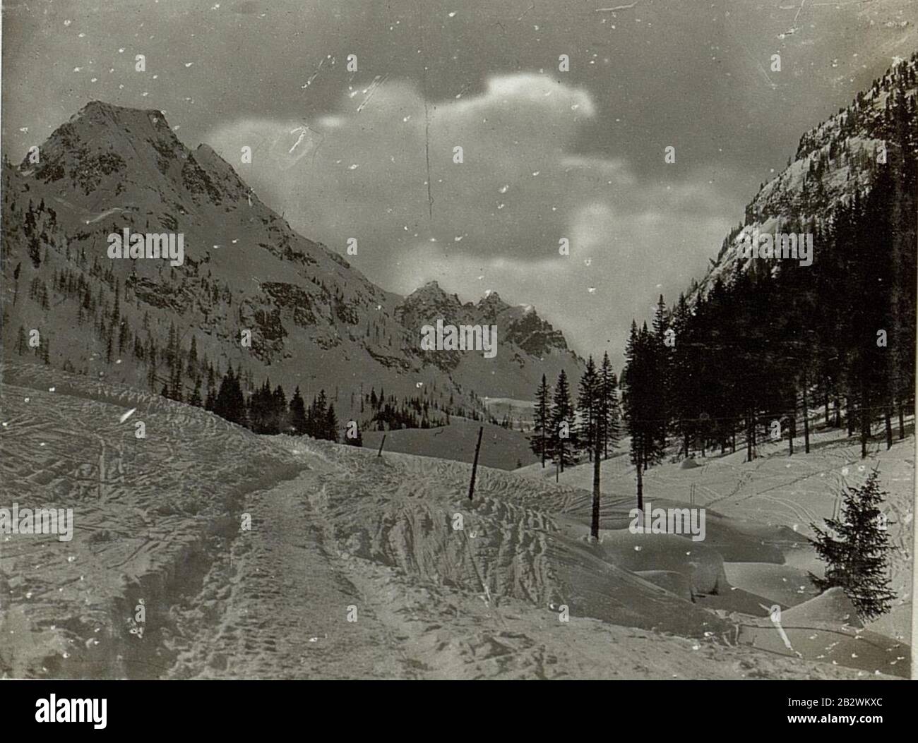 Gardinal, Kleiner Cauriol Stock Photo - Alamy