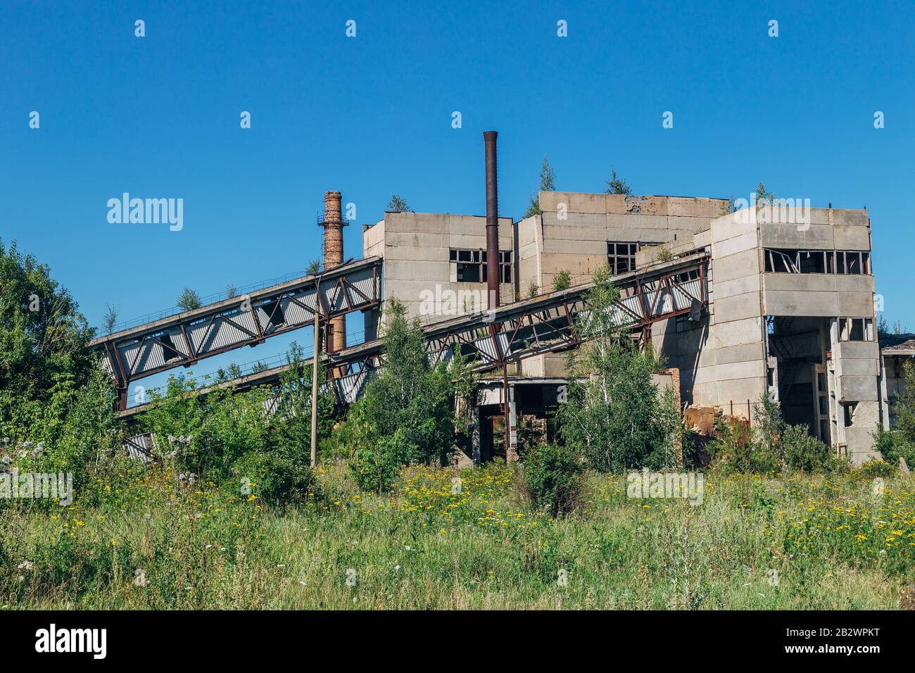 Old overgrown abandoned factory of reinforced concrete Stock Photo - Alamy
