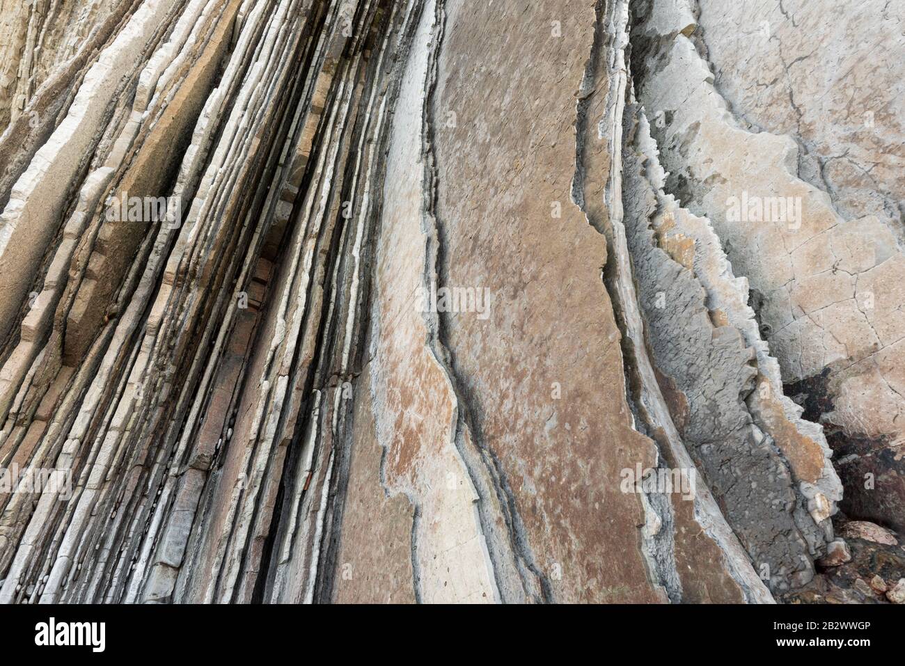 Rock strata, geological texture background detail in Zumaia, Basque ...