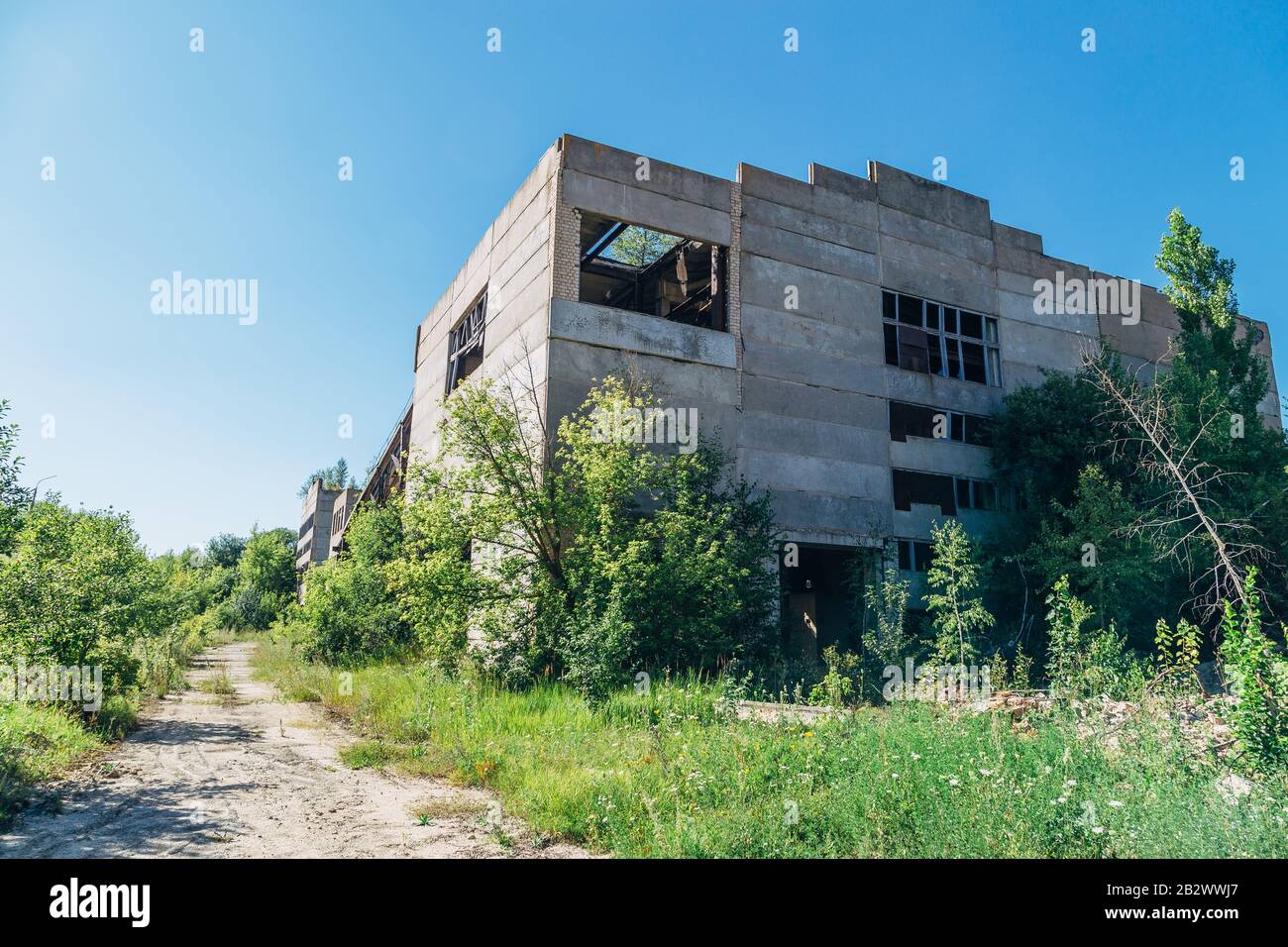 Old overgrown abandoned factory of reinforced concrete Stock Photo - Alamy
