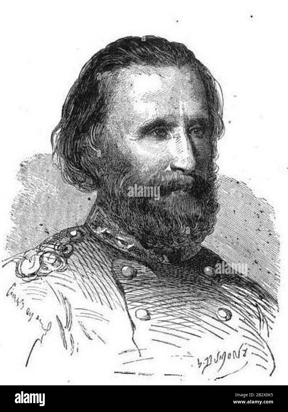 Garibaldi Cut Out Stock Images & Pictures - Alamy