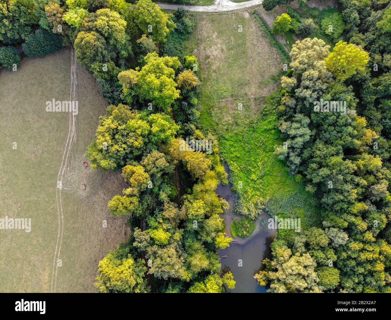 Belgium fall color scene scenery hi-res stock photography and images ...
