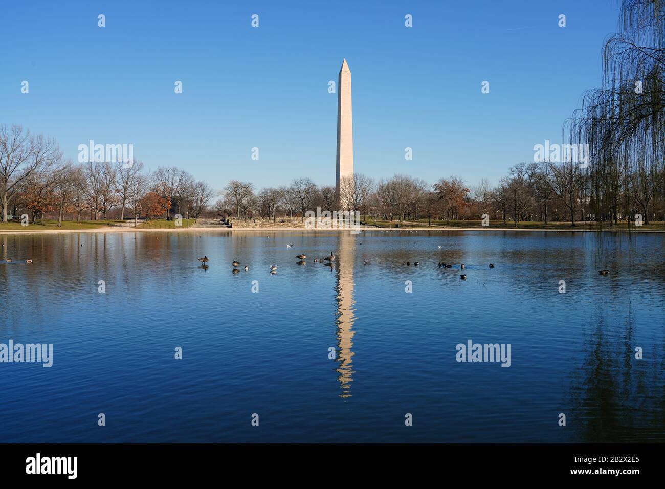 WASHINGTON, DC -22 FEB 2020- View of the landmark Washington Monument ...