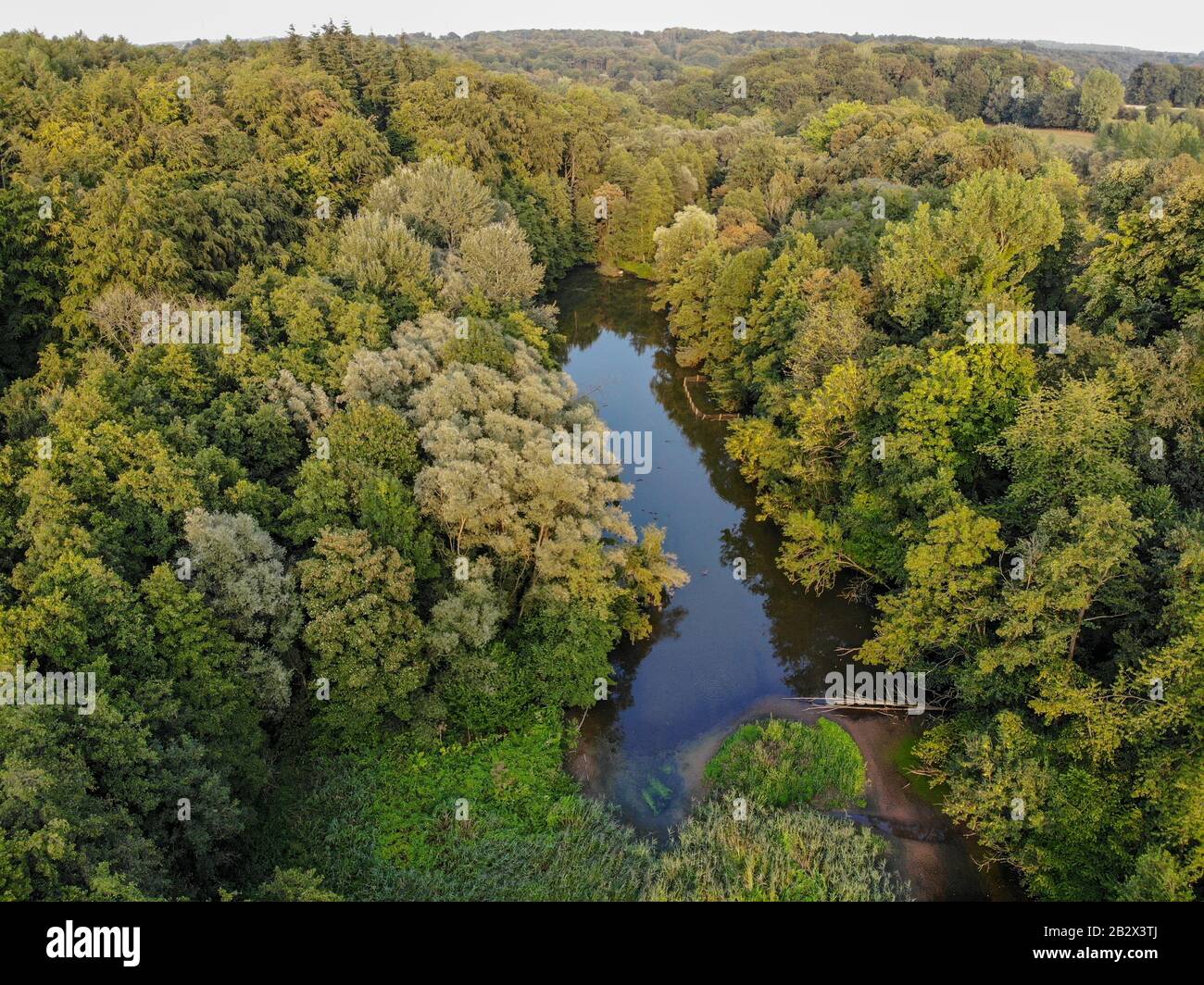 Belgium fall color scene scenery hi-res stock photography and images ...