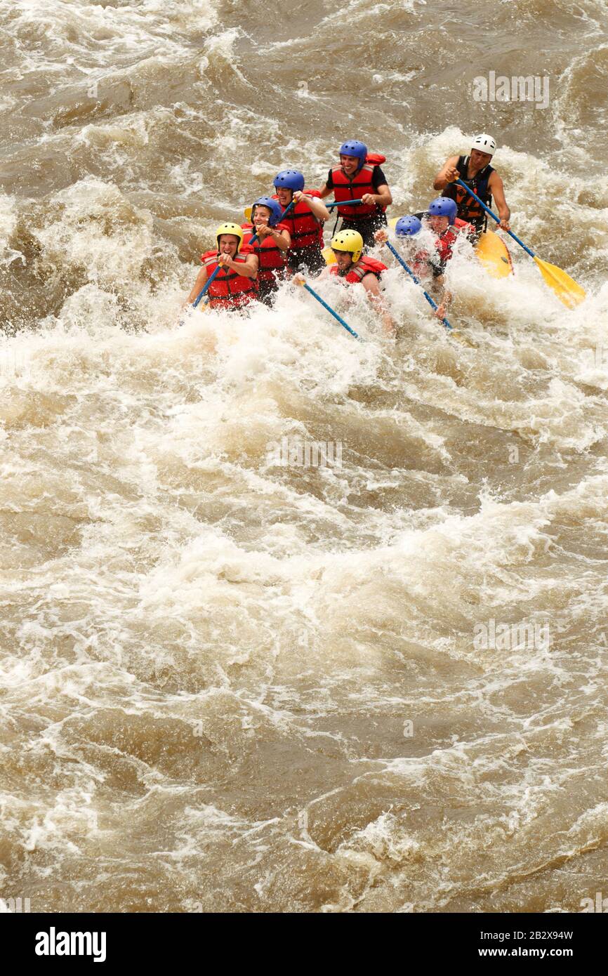 Partnership Of Mixed Tourist Human And Women With Guided By ...