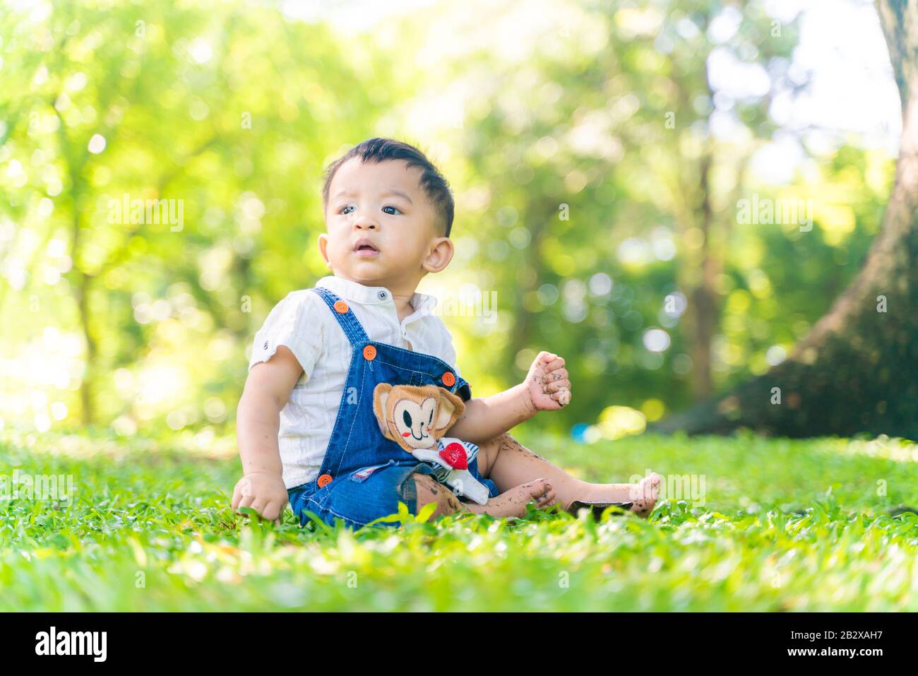 Toddler crawling outside yard hi-res stock photography and images - Alamy