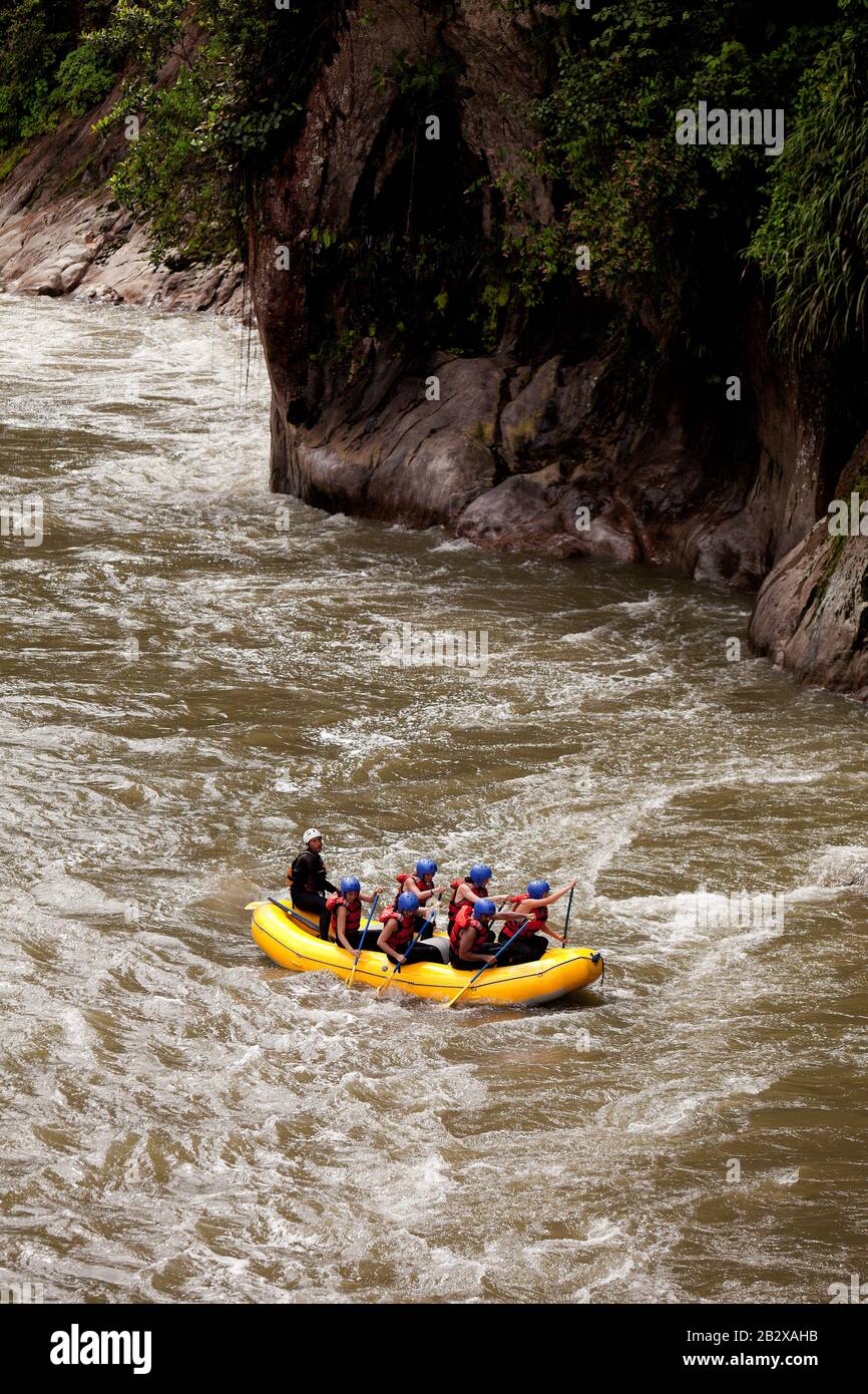 Partnership Of Mixed Pioneer Human And Femininity With Guided By ...