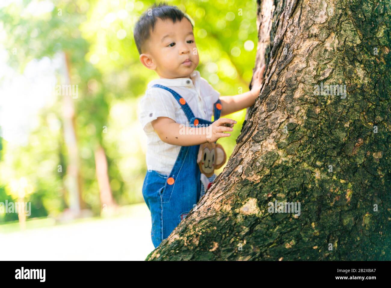 Kid child boy enjoying with nature green grass under tree in city park ...