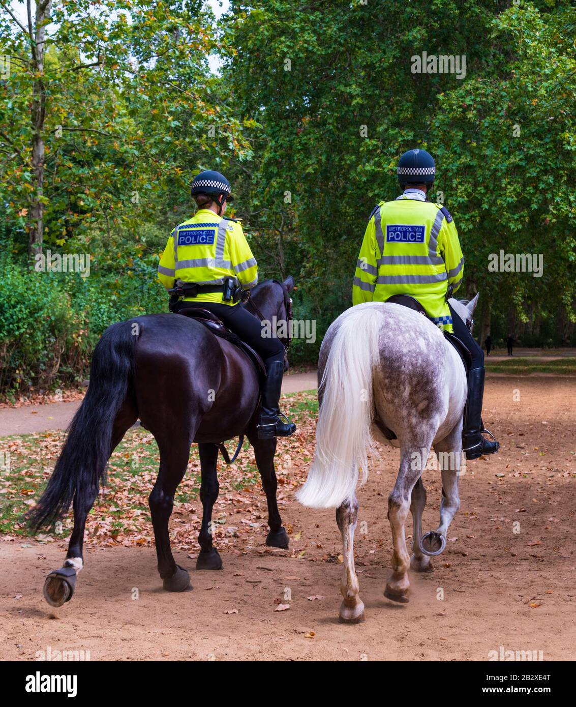 London police patrol the parks on Horseback Stock Photo - Alamy