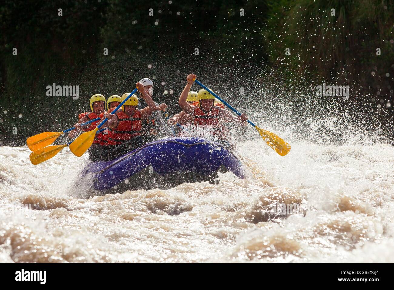Community Of Mixed Trekker Male And Femininity With Guided By ...