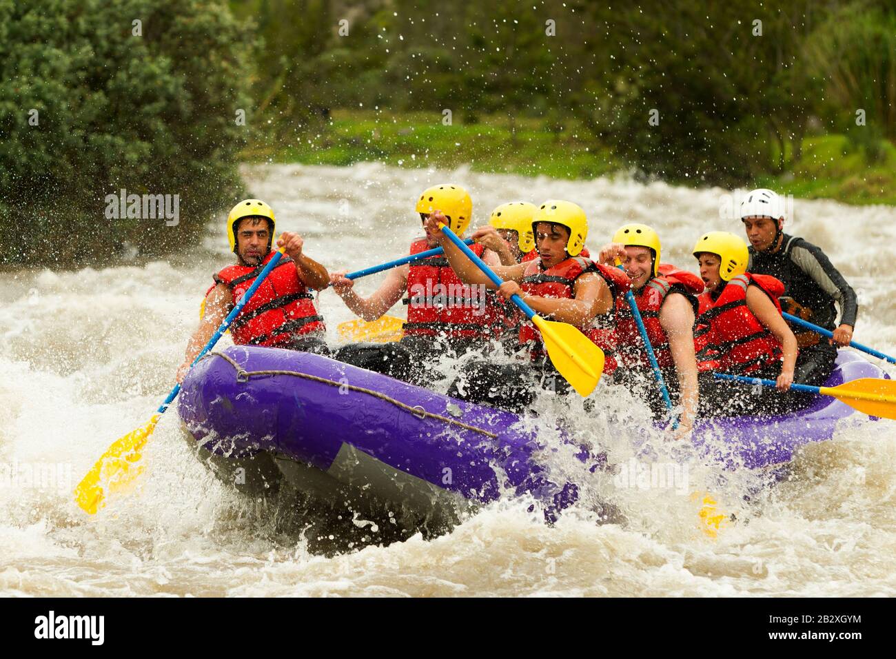 Union Of Mixed Tourist Human And Women With Guided By Specialist Pilot ...