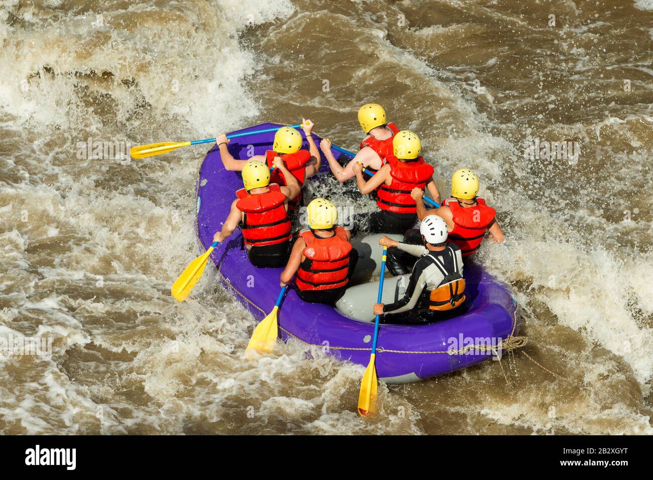 Partnership Of Mixed Visitor Human And Lady With Guided By Professional ...