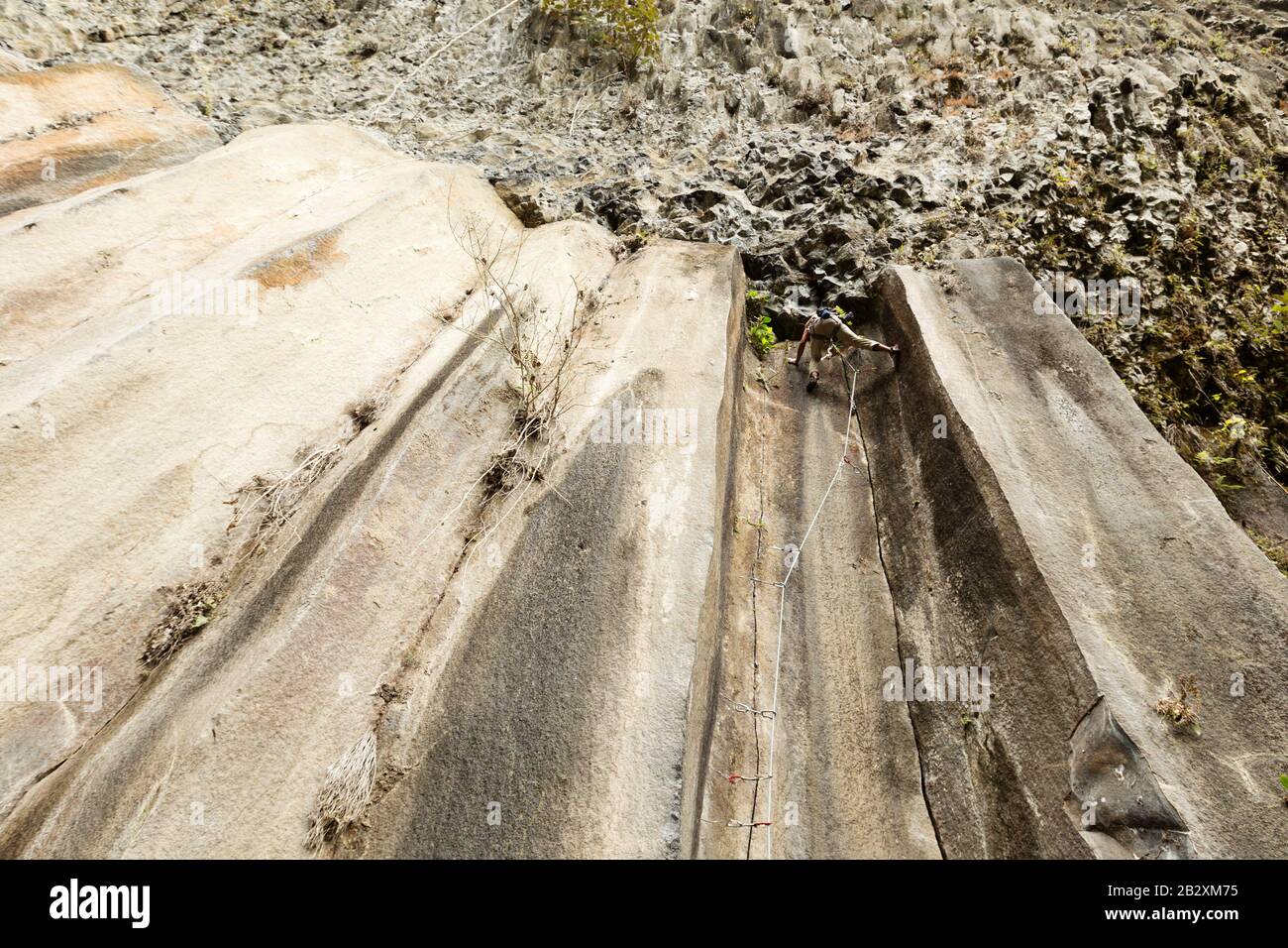 Pole climbing course hi-res stock photography and images - Alamy