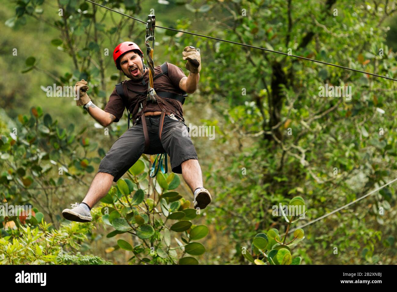 Grown Man Zip Line Adventure In Ecuadorian Rainforest Stock Photo - Alamy