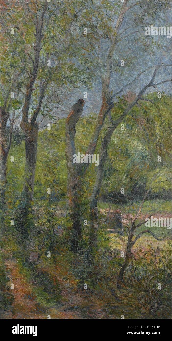 Les saules hi-res stock photography and images - Alamy