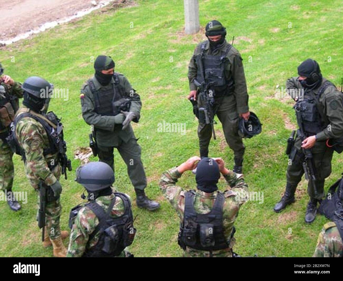 Gaula hi-res stock photography and images - Alamy