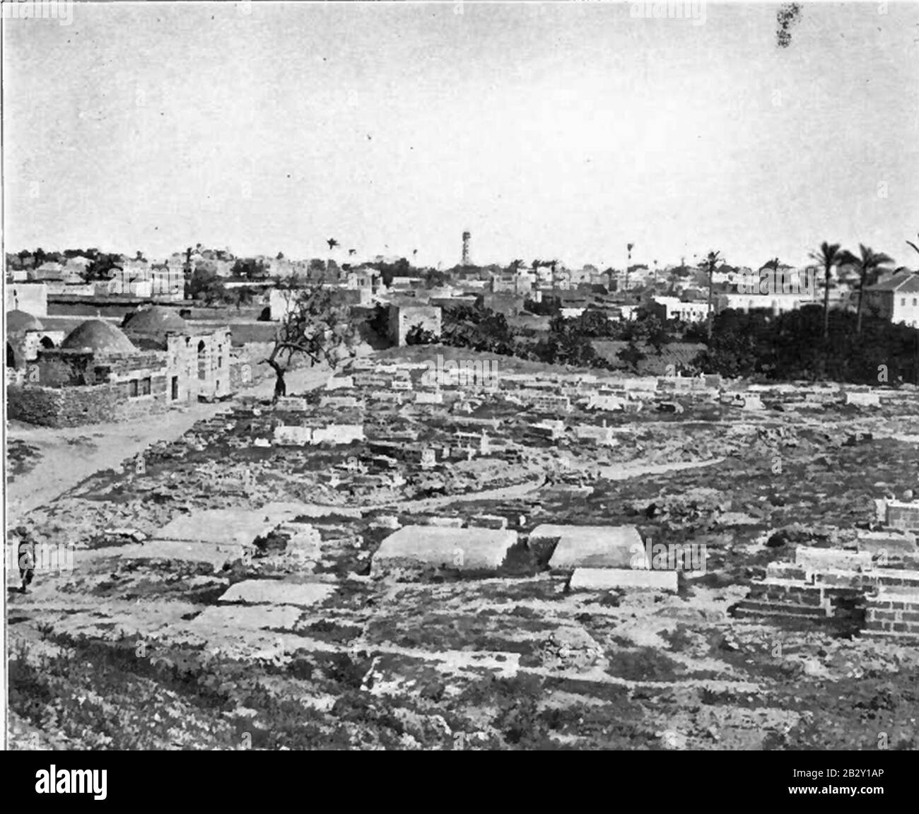 Gazza hi-res stock photography and images - Alamy