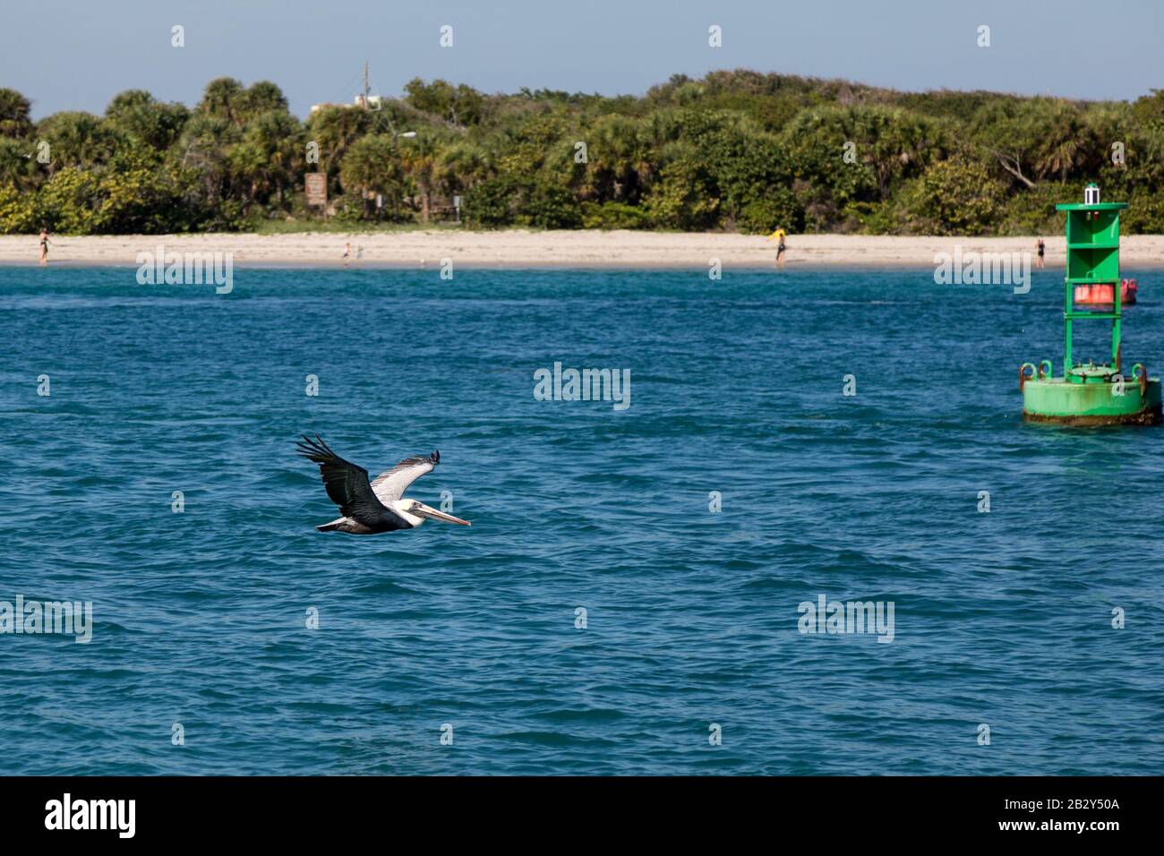 Fort pierce inlet state park hi-res stock photography and images - Alamy