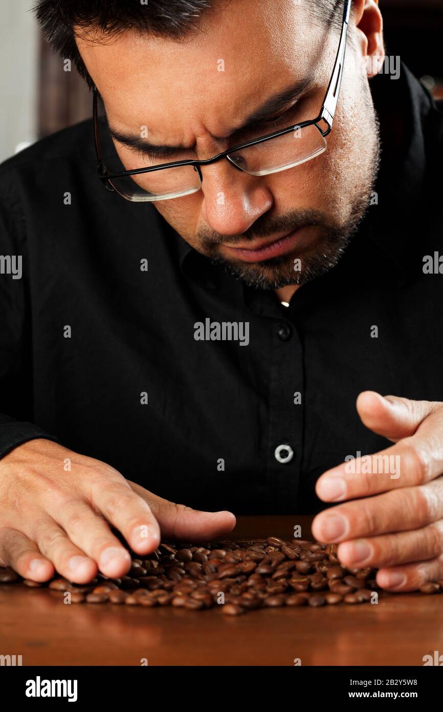Coffee Sommelier Examining Roast Vine Stock Photo - Alamy