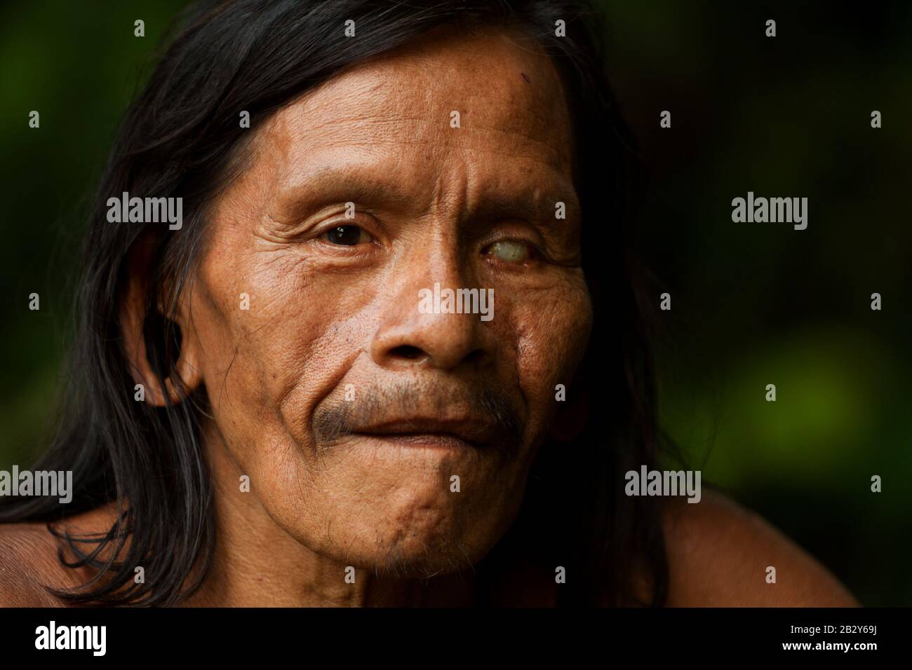 Tageri or waorani or waura or yanomani hi-res stock photography and ...