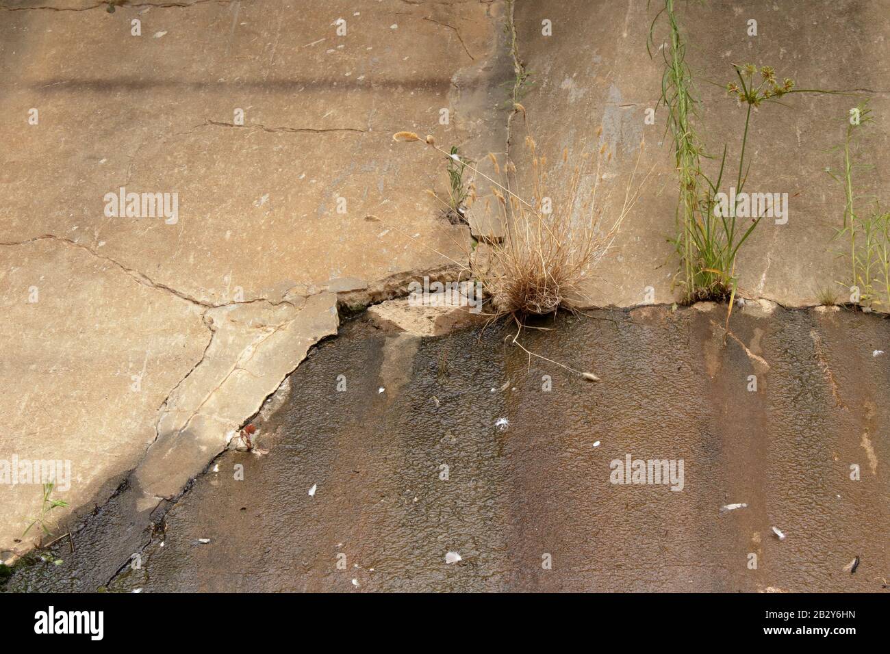 water seeping from crack in concrete wall structure Stock Photo - Alamy