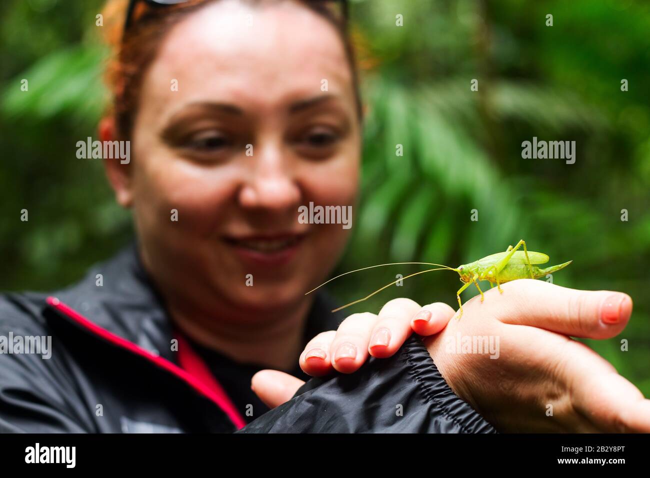 Holding insects hi-res stock photography and images - Alamy