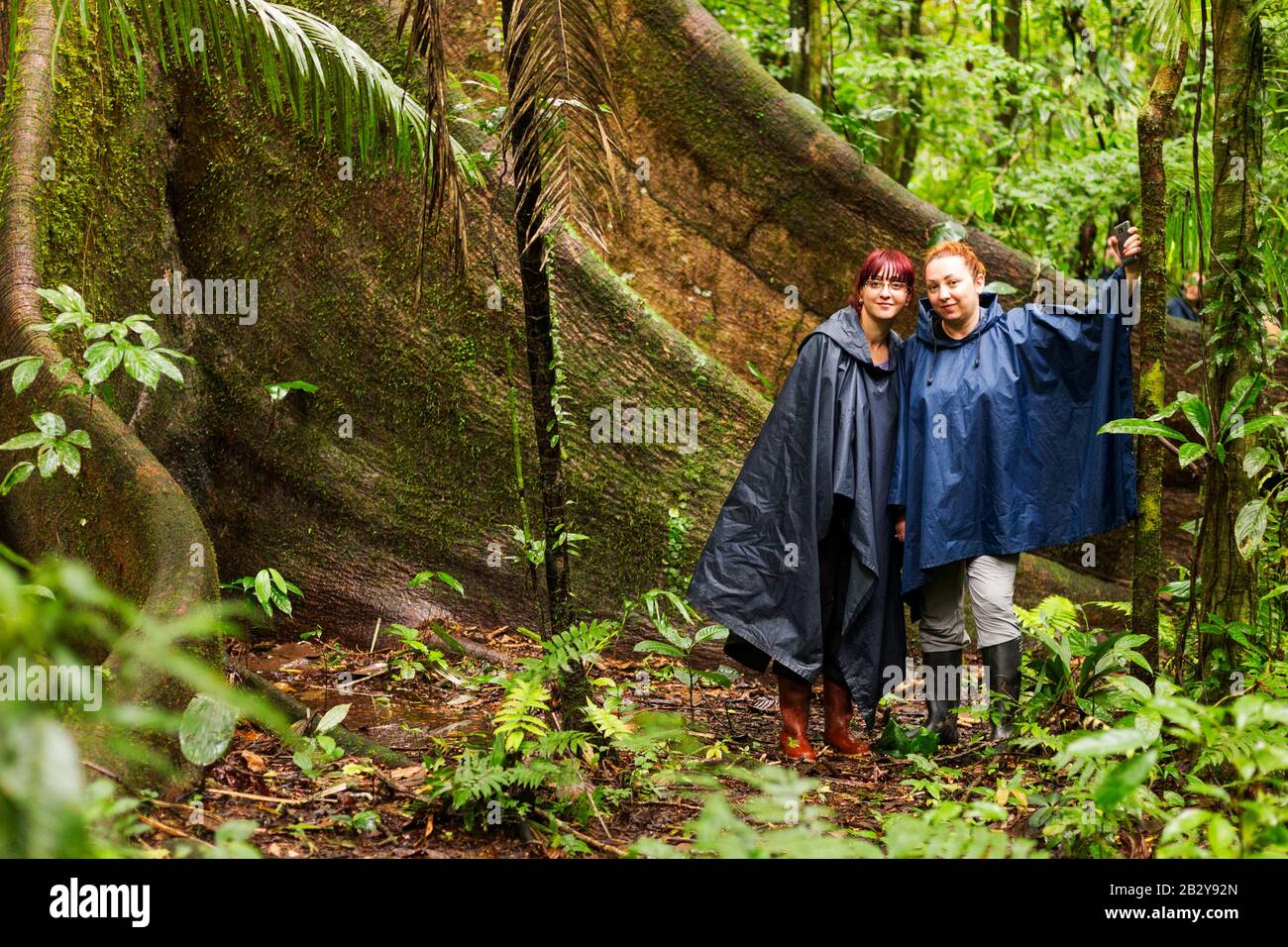 Group Of Two Tourist Friends Against Ceiba Amazonica Tree In Ecuadorian ...