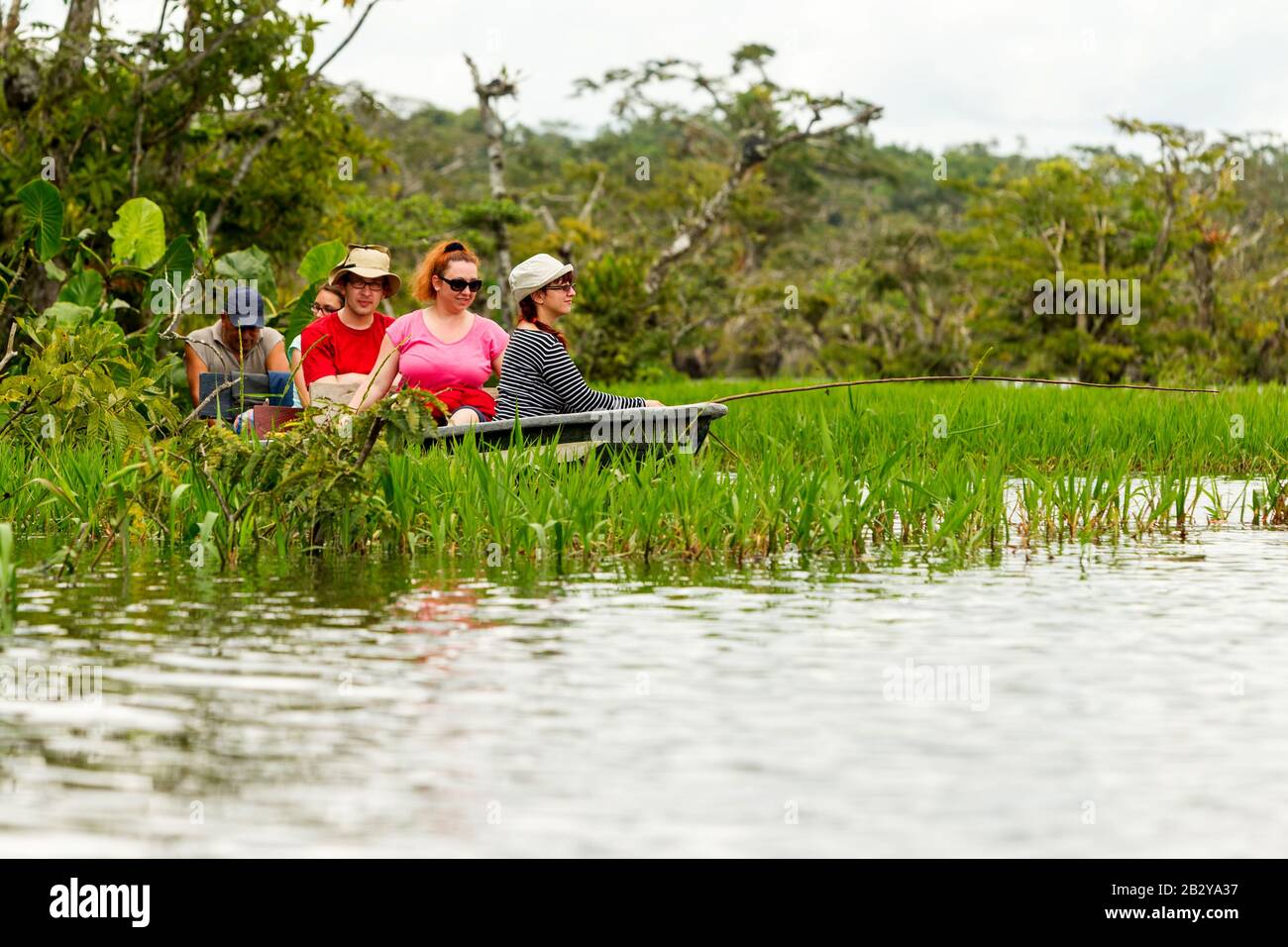 Tourists Fishing Legendary Piranha Fish In Ecuadorian Amazonian Primary ...