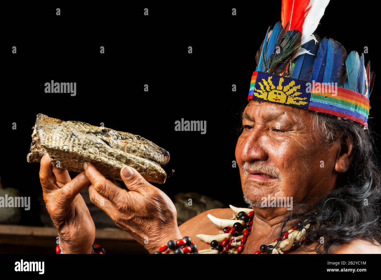 Magical In Ecuadorian Amazonia During A Real Ayahuasca Formal Model ...