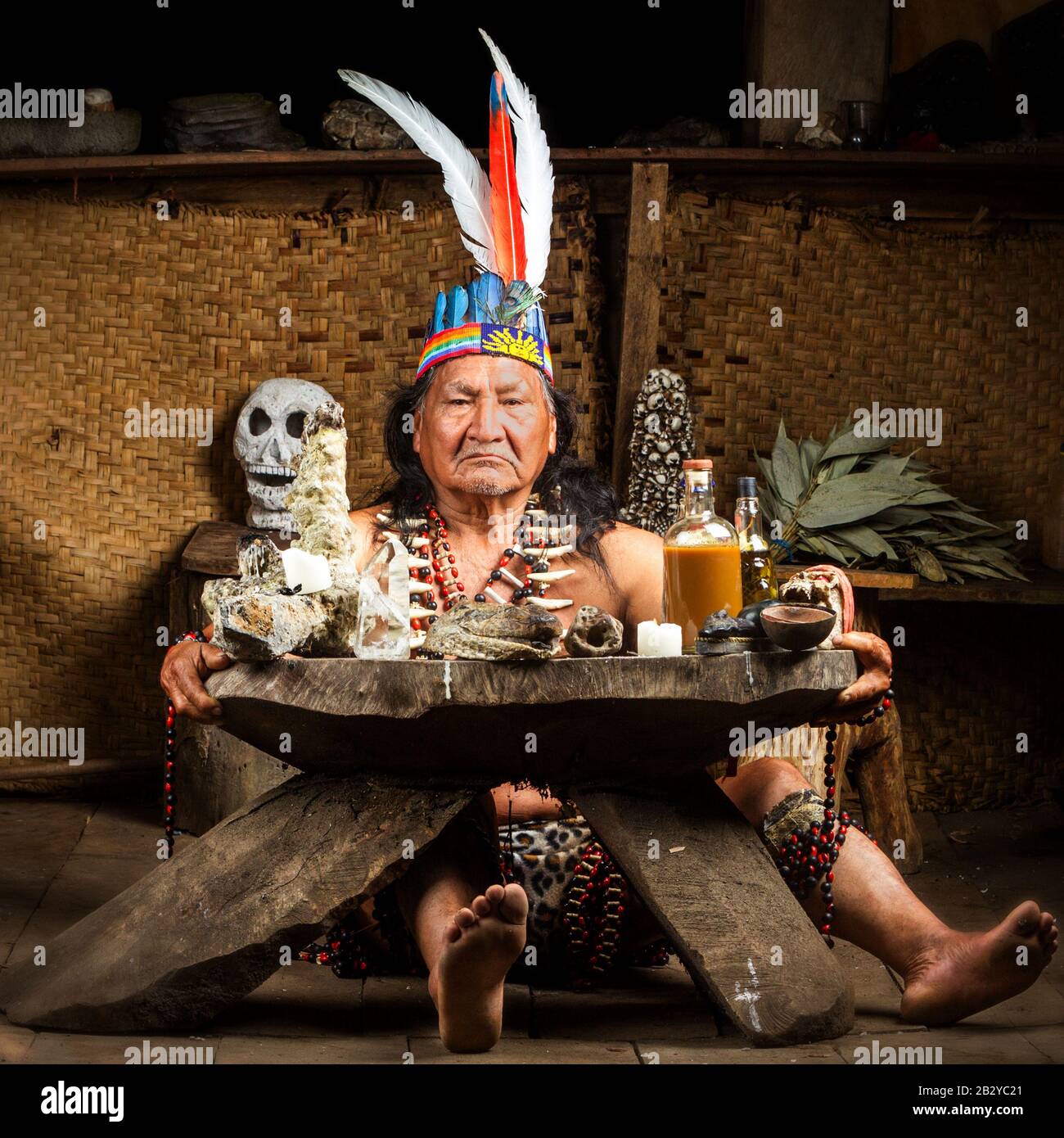 Shaman In Ecuadorian Amazonia During A Real Ayahuasca Ceremony Model ...