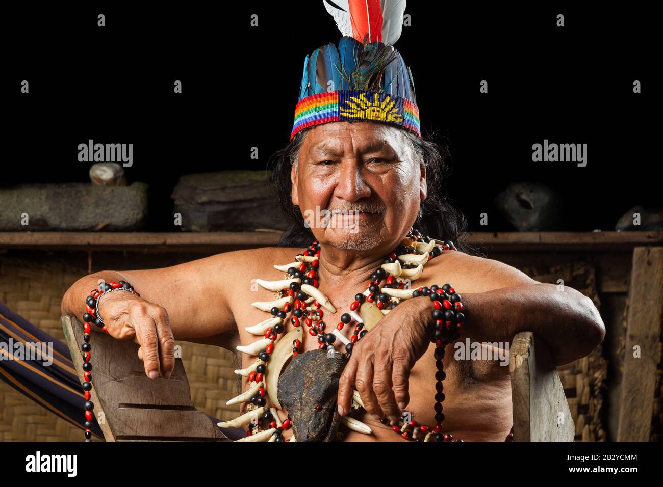Shaman In Ecuadorian Amazon During A Original Ayahuasca Ritual Model ...