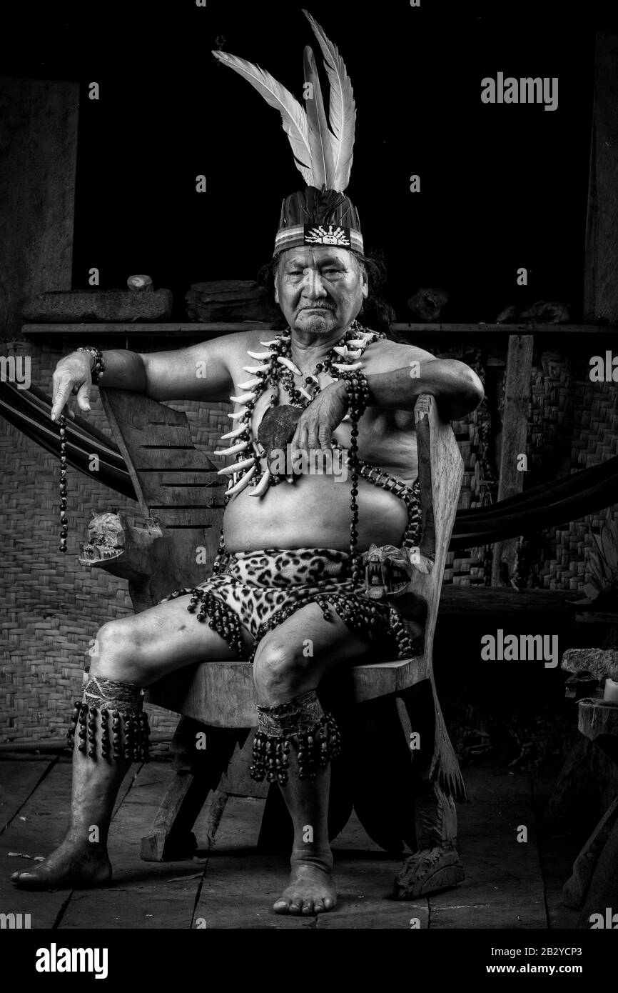 Shaman In Ecuadorian Amazon During A Real Ayahuasca Ceremonial Model ...