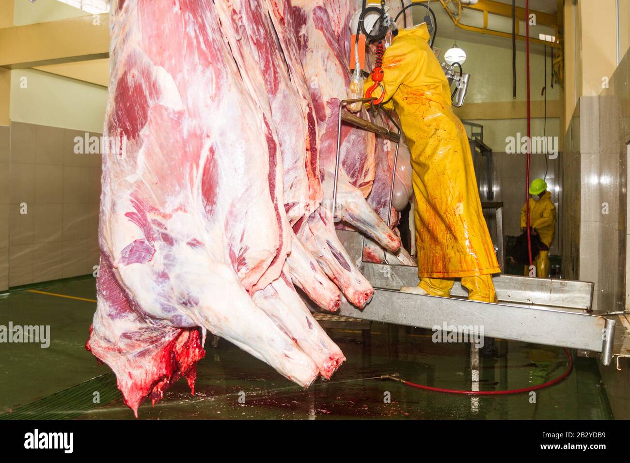 Decapitated Corpse High Resolution Stock Photography and Images - Alamy