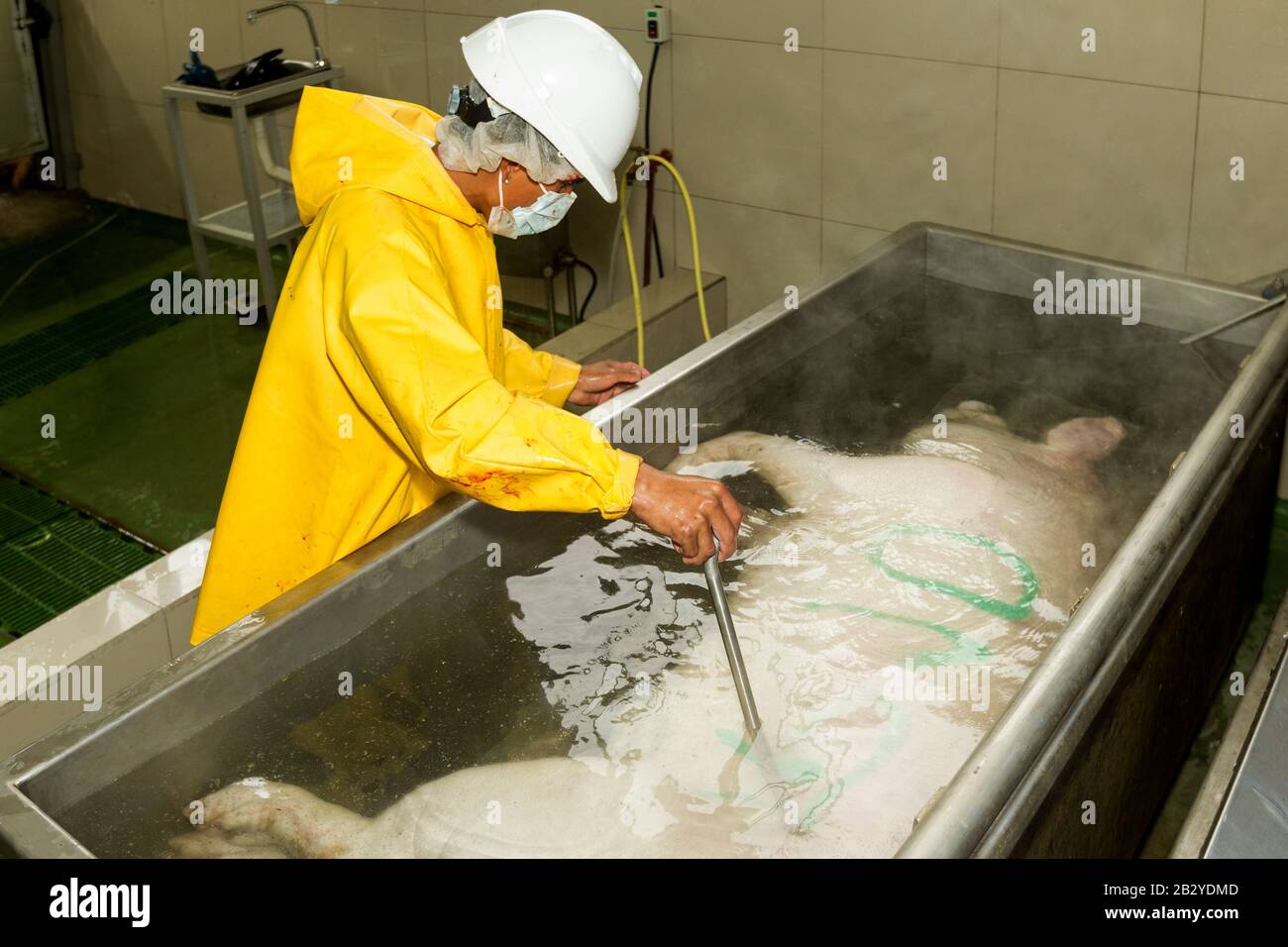 Butcher process hi-res stock photography and images - Alamy