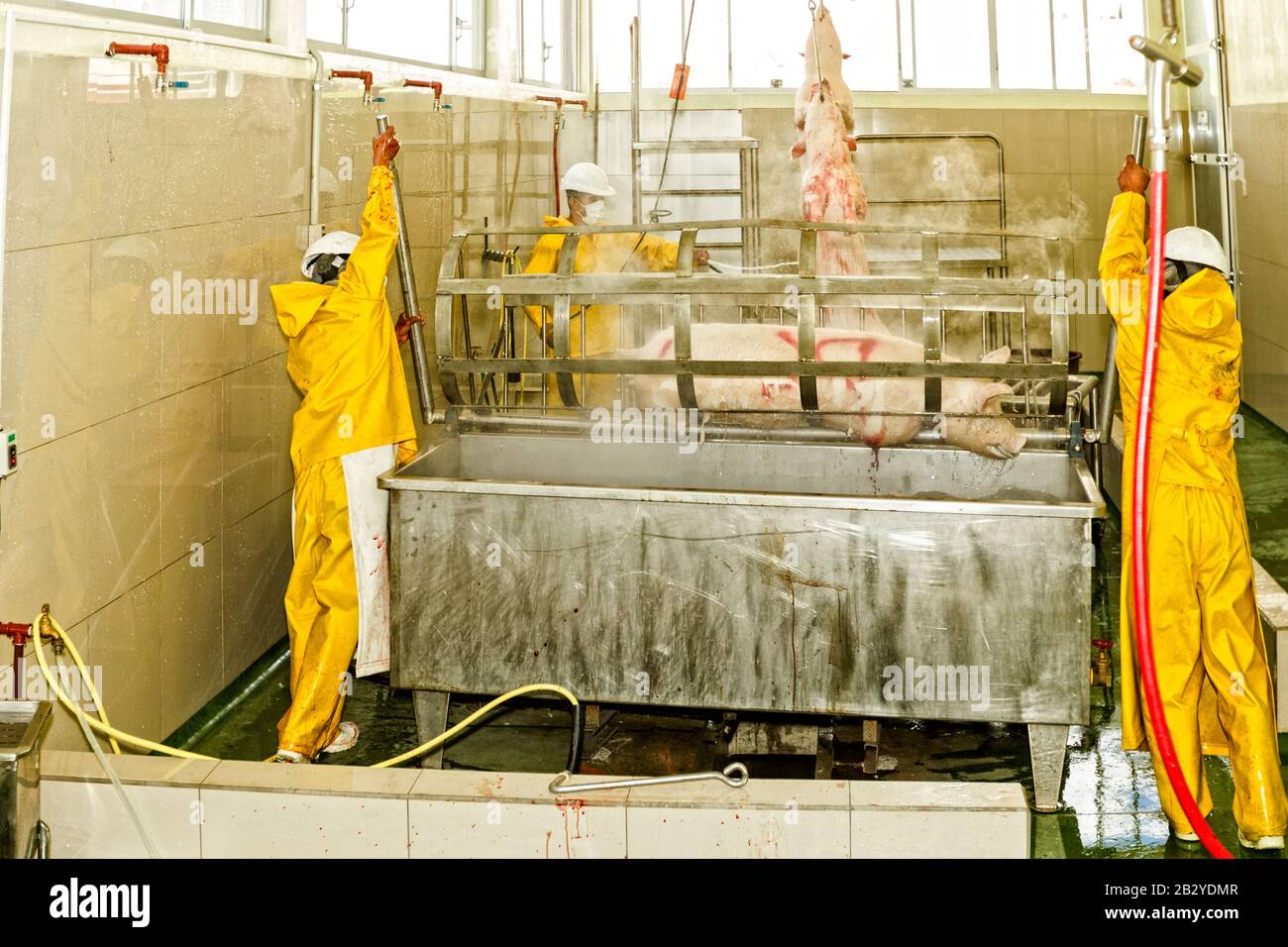 Human power hi-res stock photography and images - Alamy