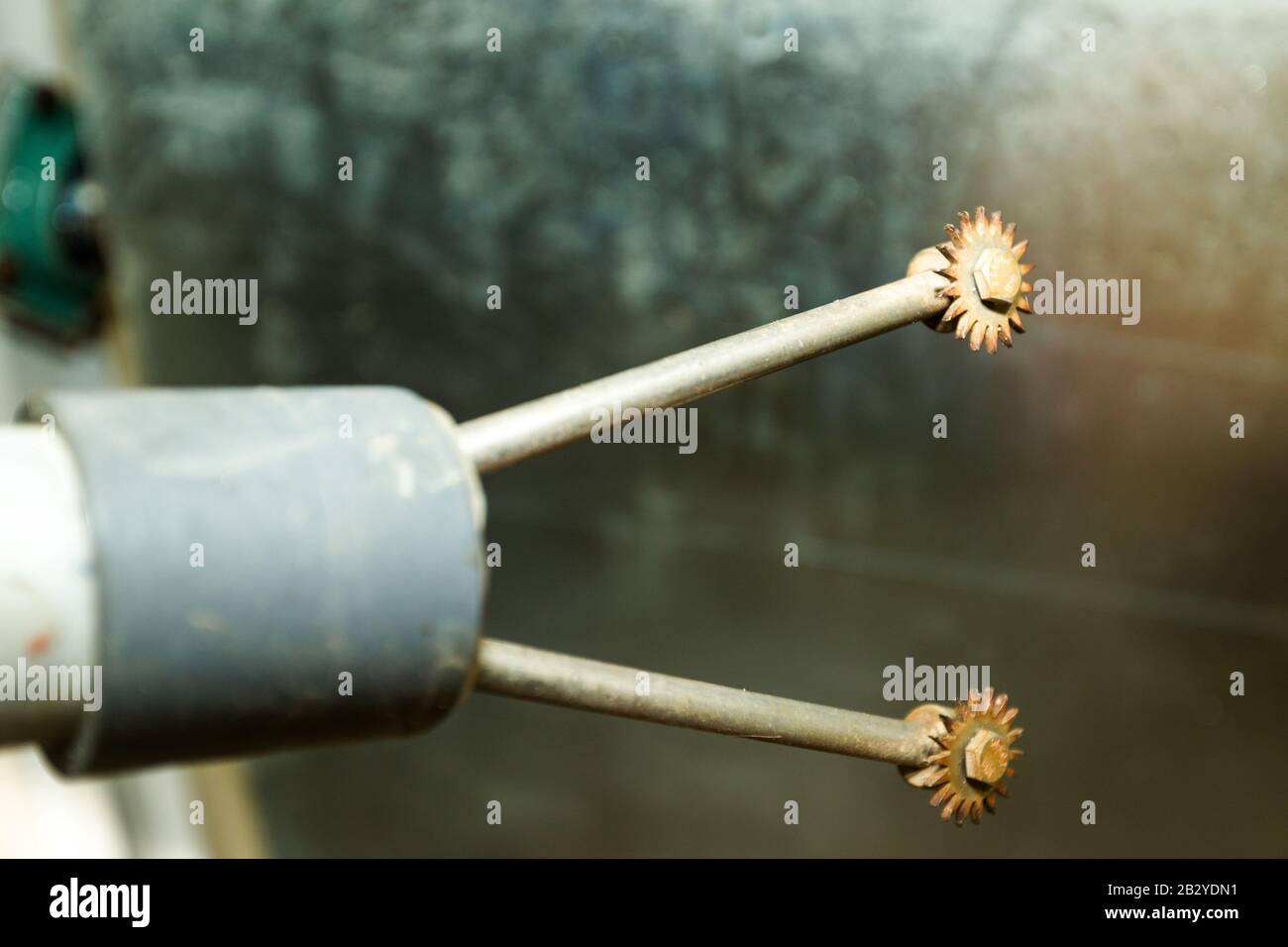 Electric Pig Stunner Prongs Used In A Slaughterhouse This Tool Will ...