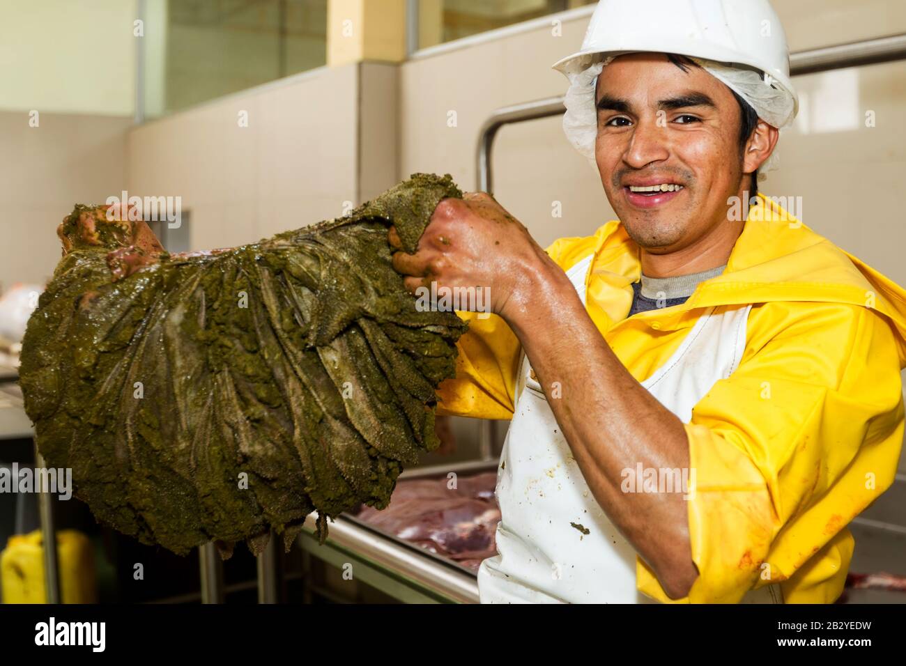 Happy Slaughterhouse Butcher Posing While Holding A Cattle Omasum Organ ...