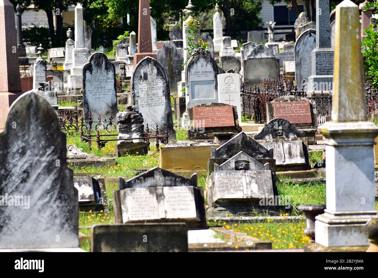 Flowers plants cemetery cemetery hi-res stock photography and images ...