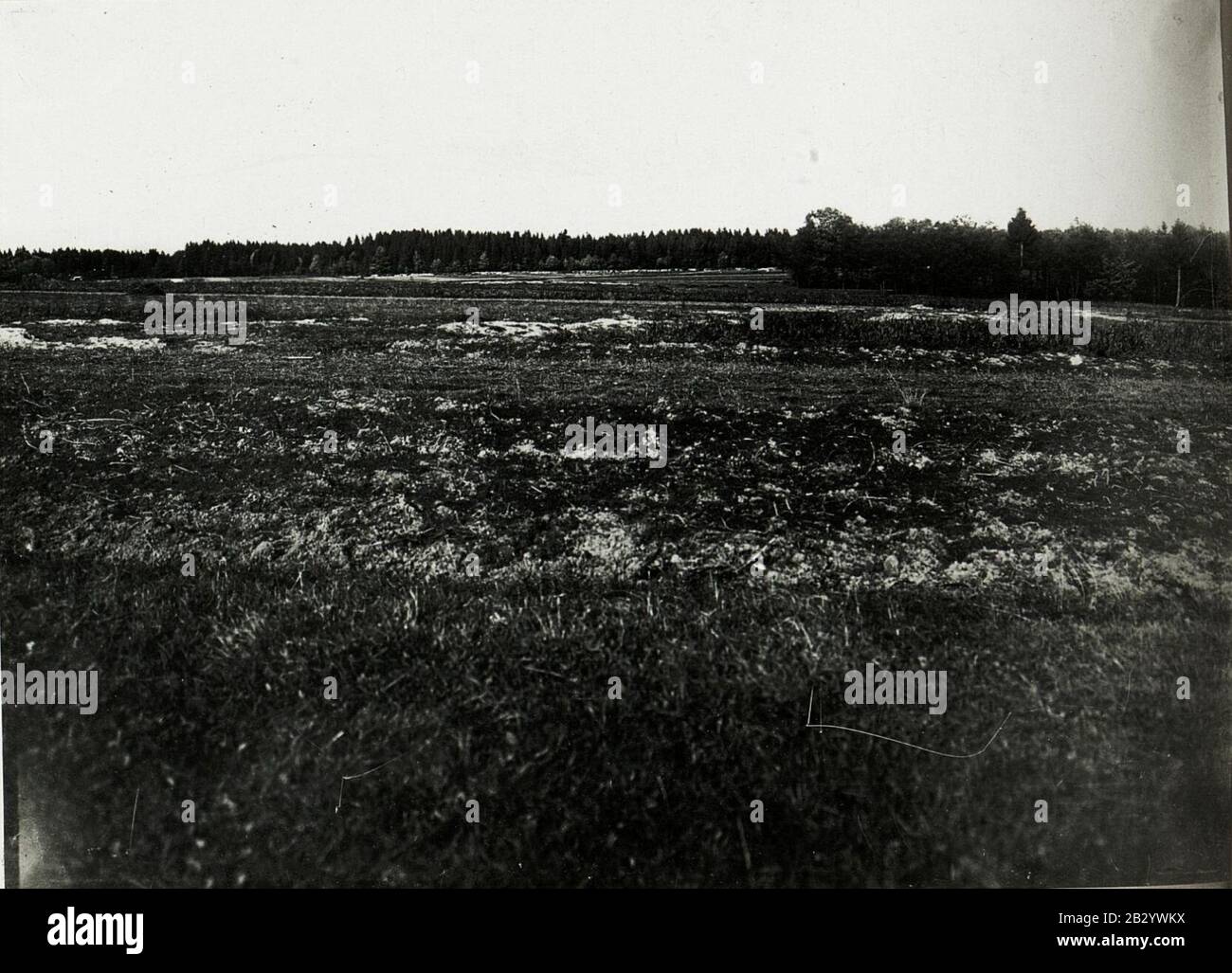 Bolechow hi-res stock photography and images - Alamy