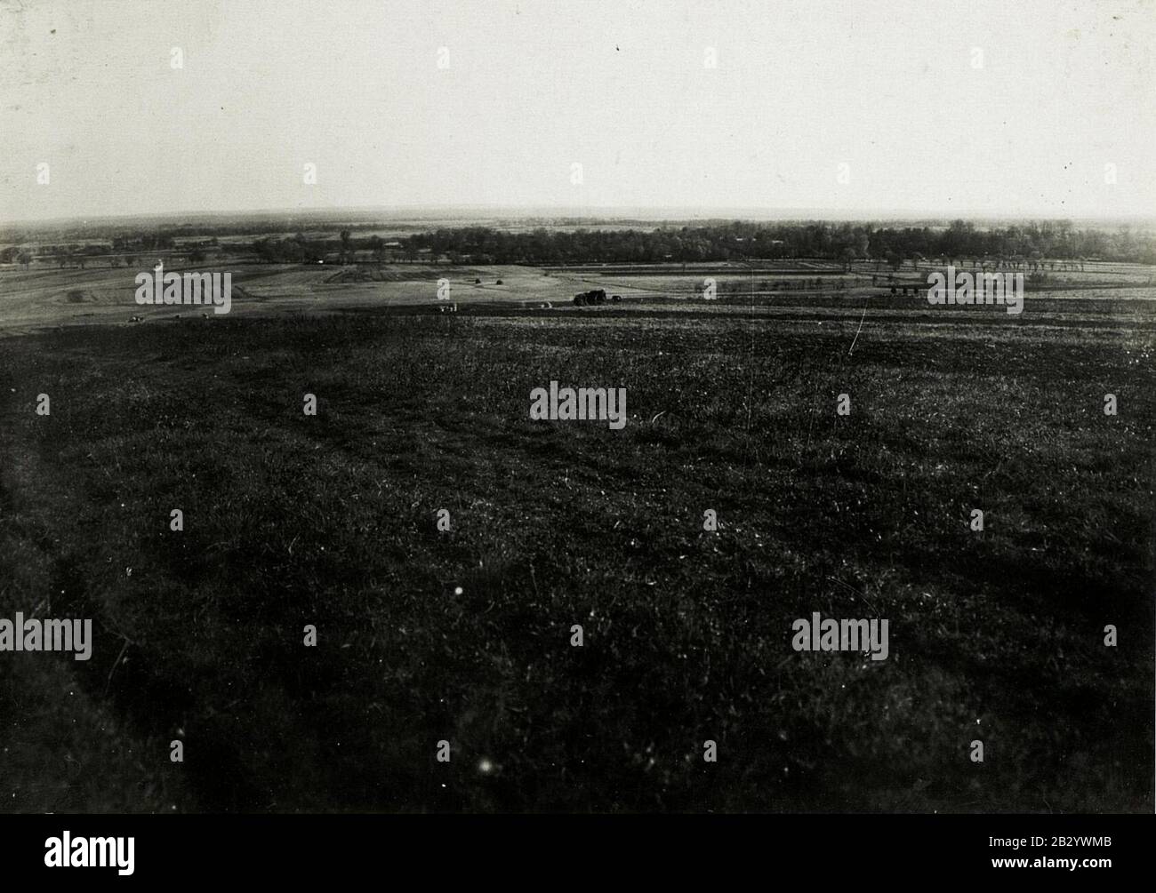 Bolechow hi-res stock photography and images - Alamy