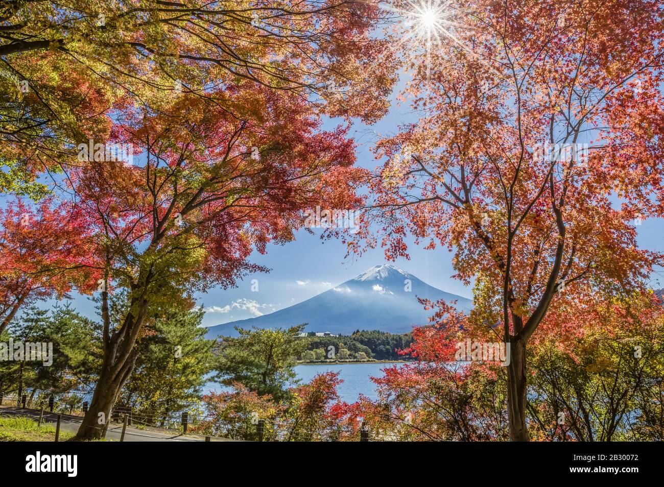 Mt. Fuji and Lake Kawaguchi in autumn Japan Stock Photo - Alamy
