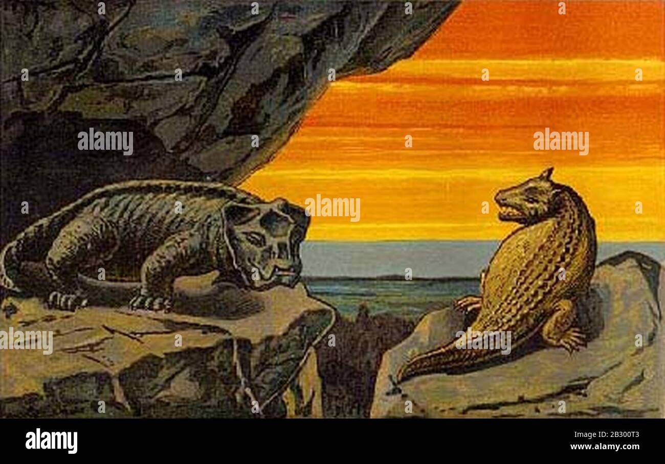 Geikia and Sclerosaurus Stock Photo - Alamy