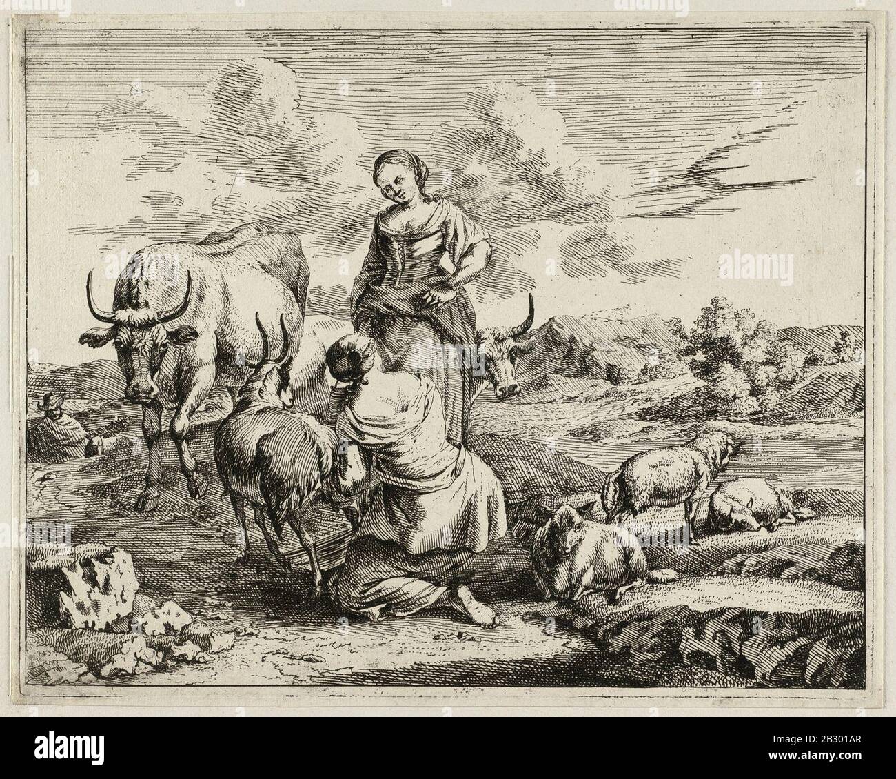 Melkende hi-res stock photography and images - Alamy