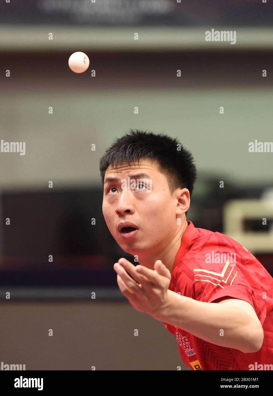 Doha. 3rd Mar, 2019. China's Fang Bo serves during the men's singles ...