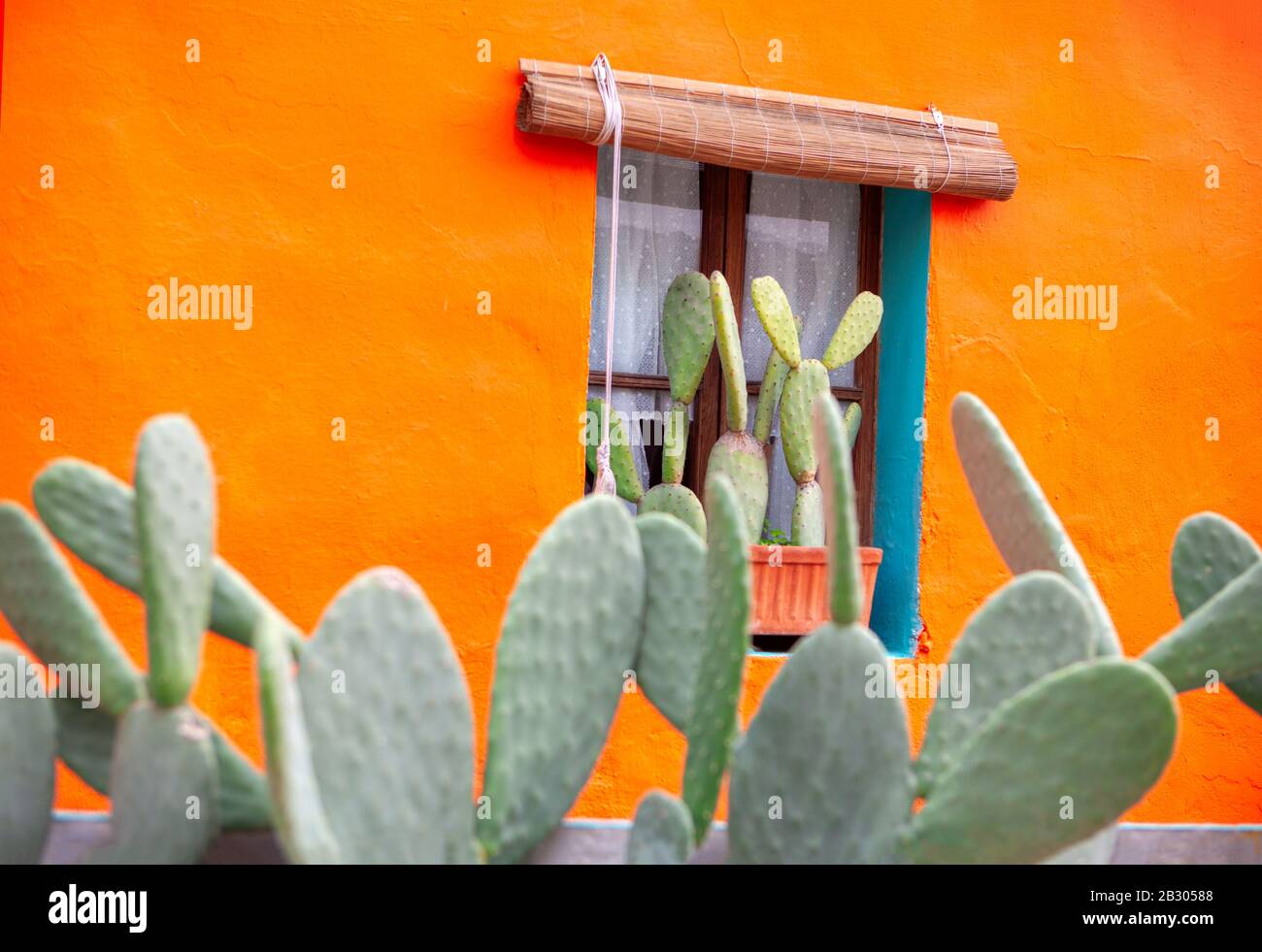 mexican rustic house with cactuses Stock Photo - Alamy