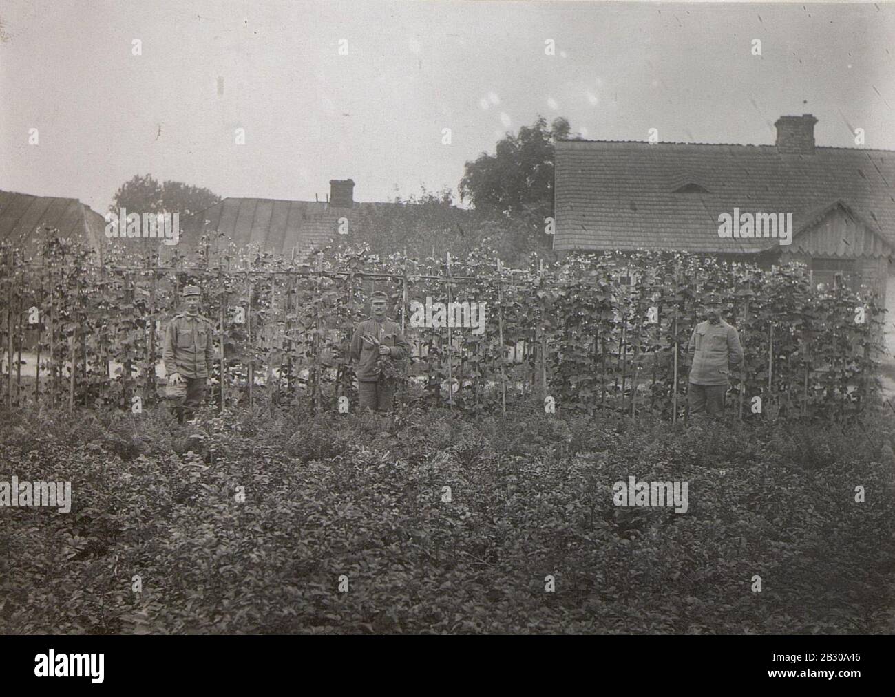 Cholm hi-res stock photography and images - Alamy