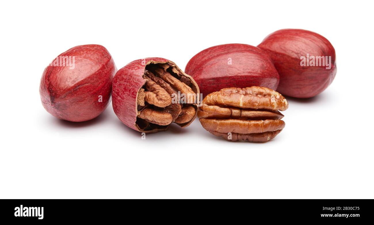 Pecan Isolated on White Background Stock Photo - Alamy