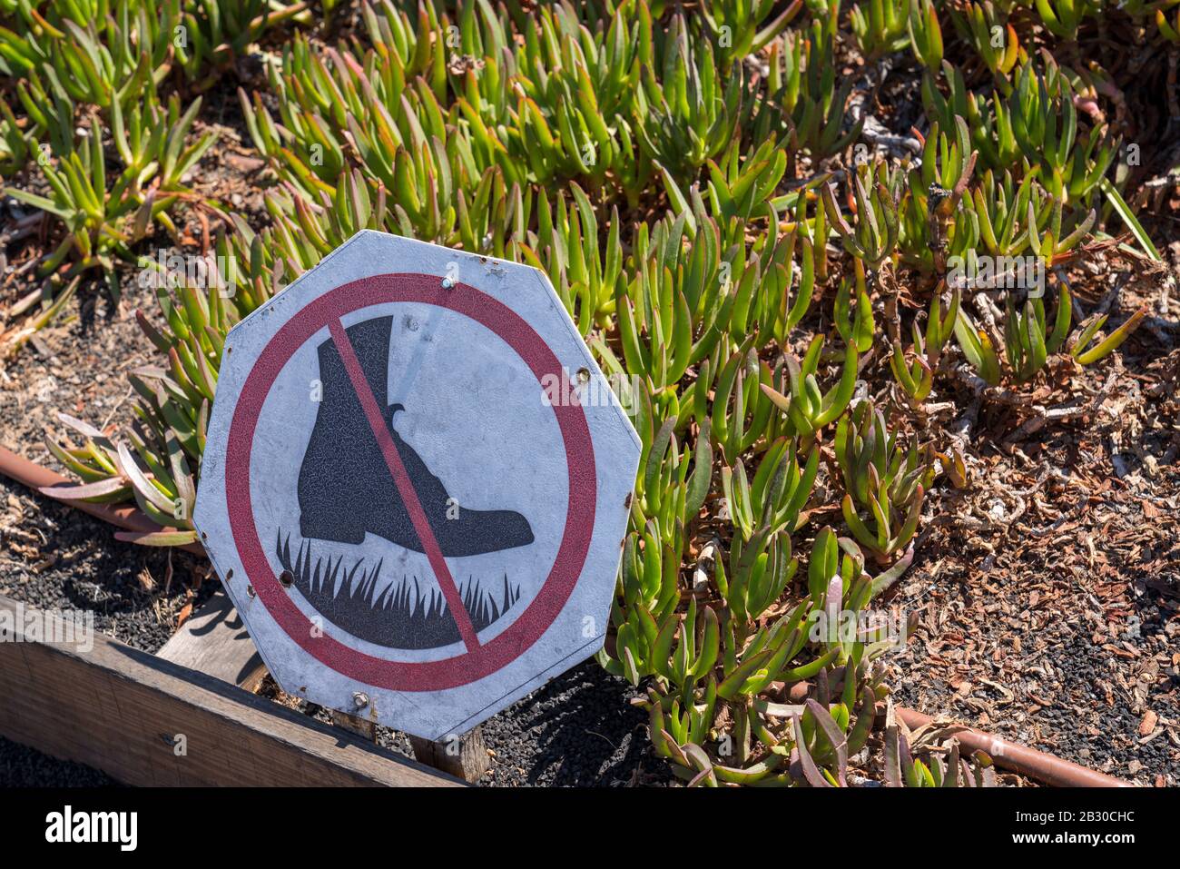 No walking boot cross out sign in front of garden with plants growing ...