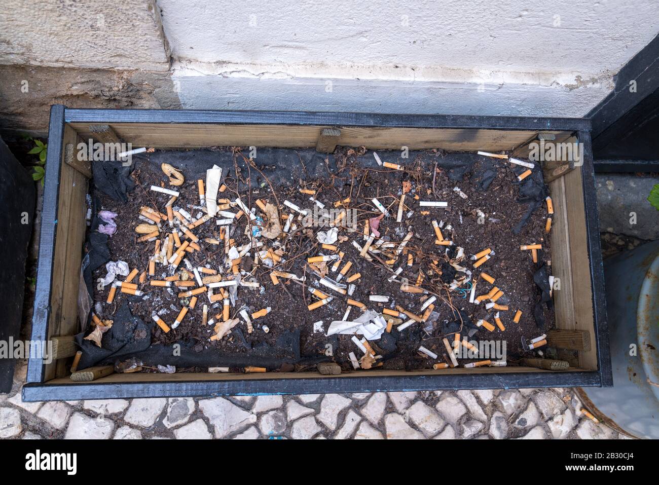 Empty plant pot filled with and soil and piles of cigarette butts Stock ...