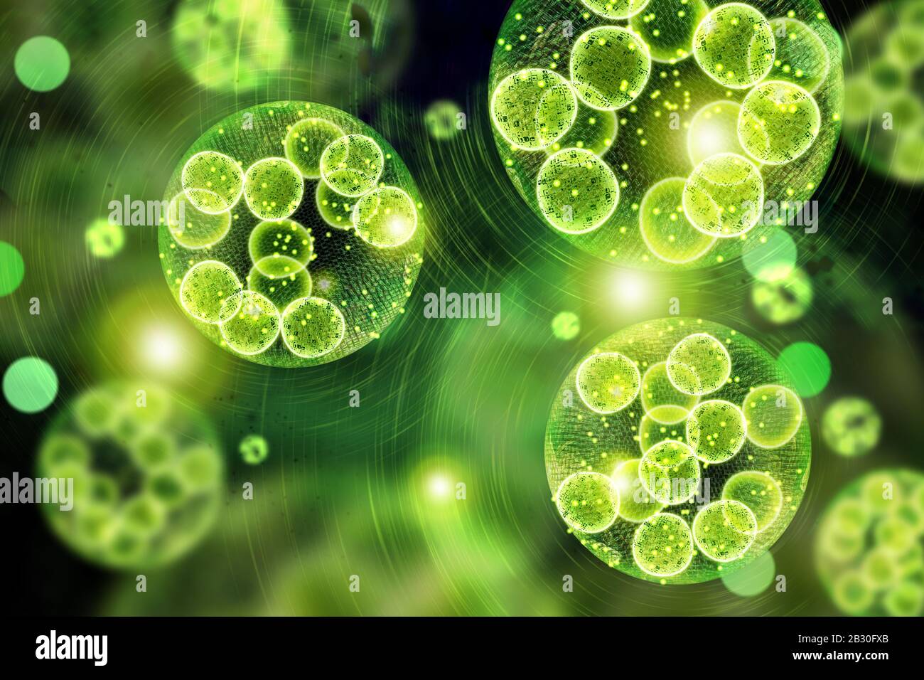 Green single cell chlorella algae microscopic conceptual 3D ...